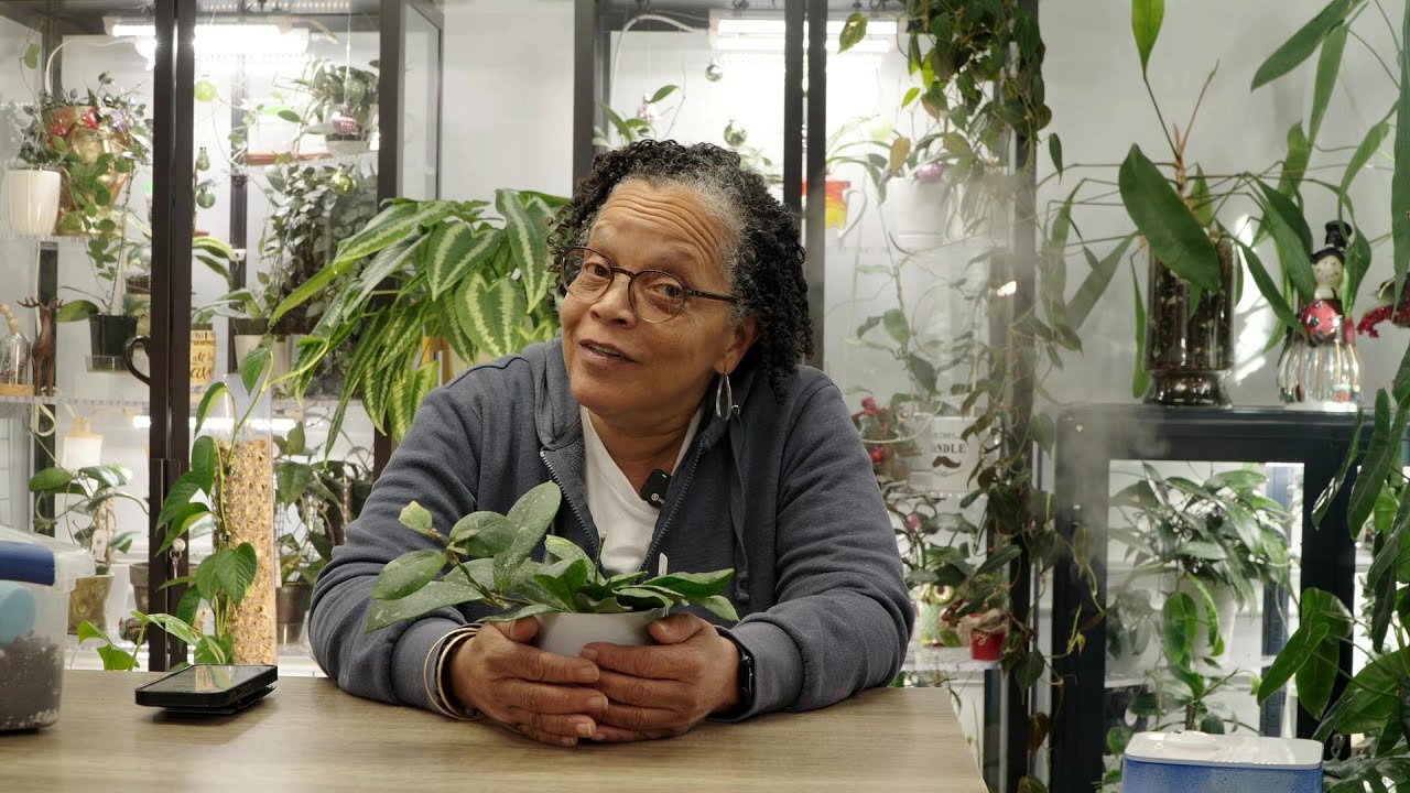 Do Plants Communicate with Their Caregivers? Exploring the Fascinating ...